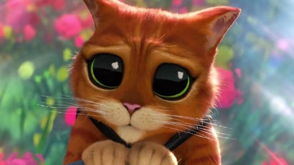 5 Rekomendasi Film Kucing Seru yang Menggemaskan