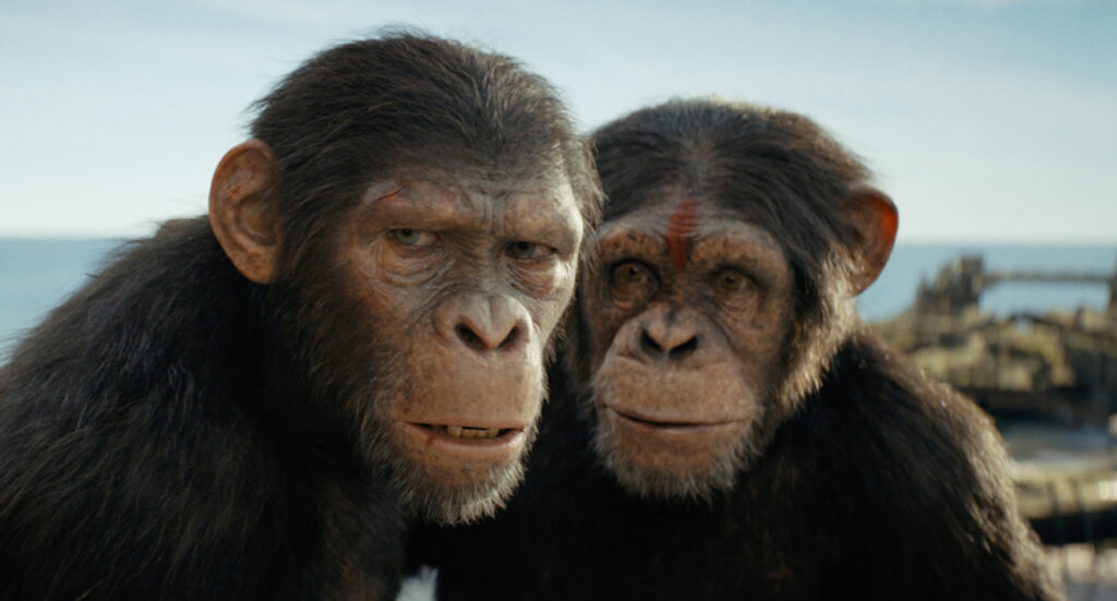 Animator Indonesia yang Terlibat di Kingdom of the Planet of the Apes ...