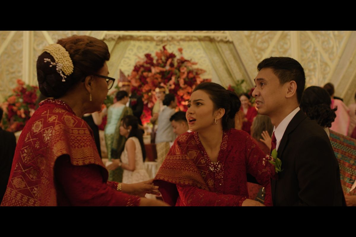 Review Film Catatan Harian Menantu Sinting (2024)